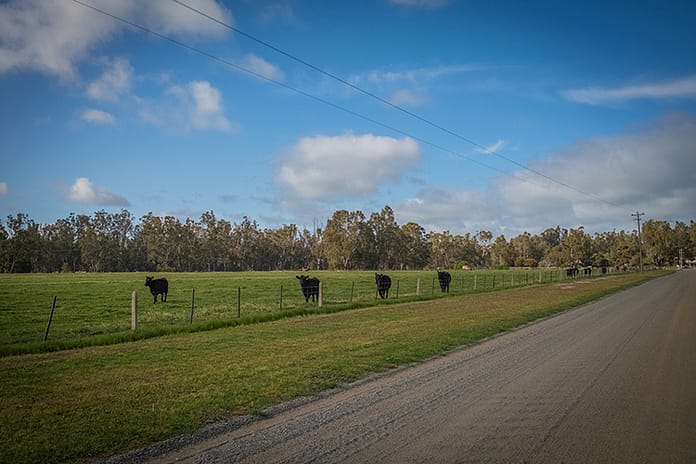 WFI Insurance reveals concerning rural crime statistics impacting ...