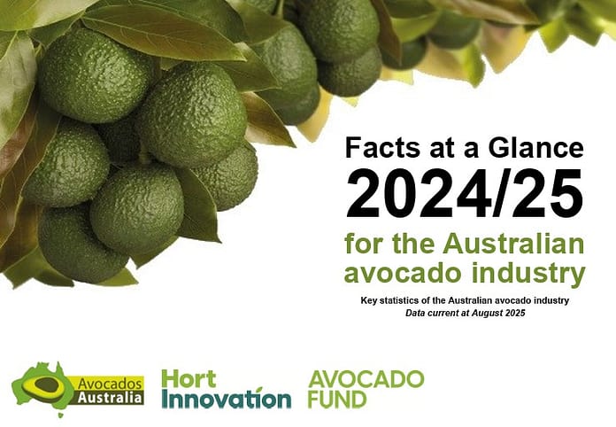 Avocados Australia’s latest industry figures out now! I Australian ...