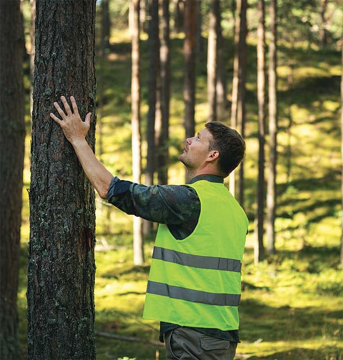 Millari Group expands with acquisition of JUKEN, Gisborne, boosting ...