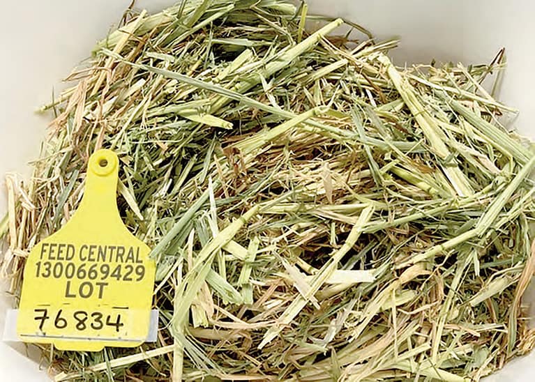 Australian hay quality hits new high I Australian Rural & Regional News