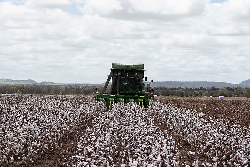 Cotton industry celebrates contribution to Australian agriculture’s ...