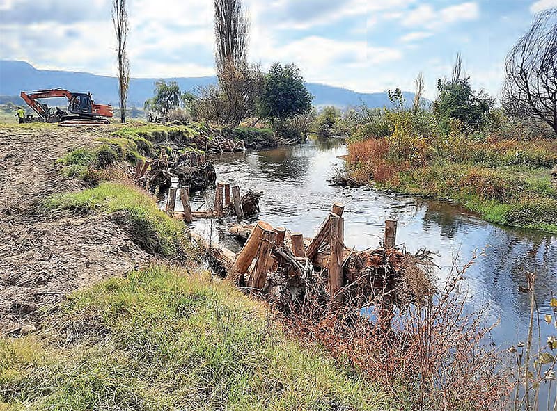 Local waters are rebounding I Australian Rural & Regional News