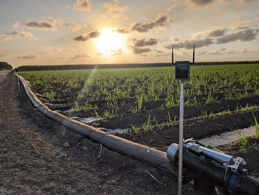 AI supercharges smart irrigation for farms: La Trobe University I ...