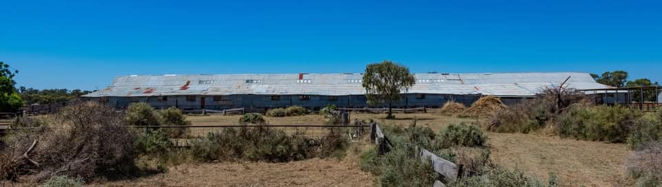 Toganmain Woolshed Celebration weekend set to honour a legacy of wool ...